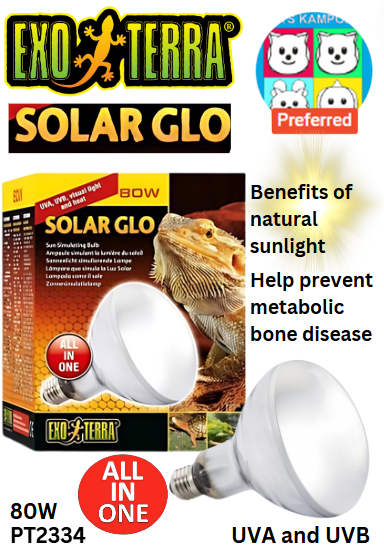 Exo Terra Solar Glo 80w (PT2334) – Pets Kampong SG