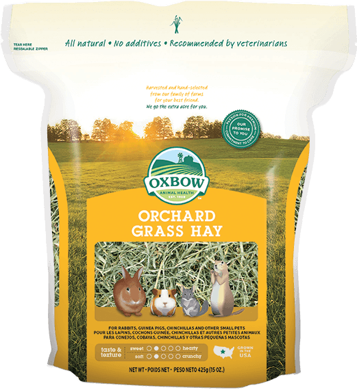 Oxbow Orchard Grass Hay – Pets Kampong SG