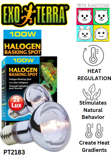 Halogen Basking Spot 100W PT2183 – Pets Kampong SG