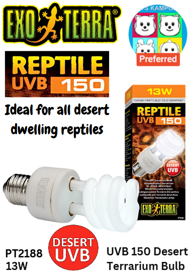 Exo Terra Reptile UVB 150 Desert Terrarium Bulb 13W (PT2188) – Pets Kampong SG