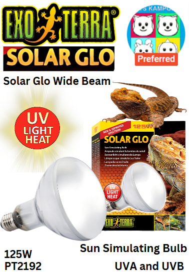 Exo Terra Solar Glo Sun Simulating Lamp 125w (PT2192) – Pets Kampong SG